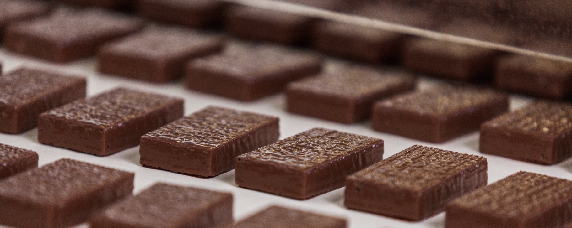 Группа компаний "Constell Group" | Производственное объединение ...